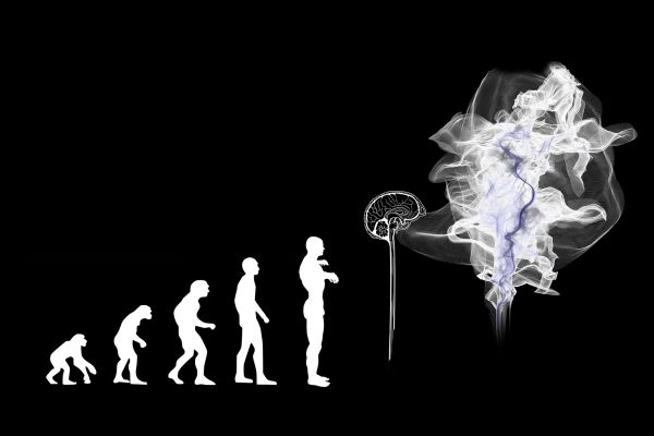 Evolutionary Psychology | Psychology Today