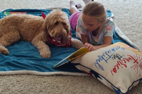 What Makes a Good Therapy Dog? | Psychology Today South Africa