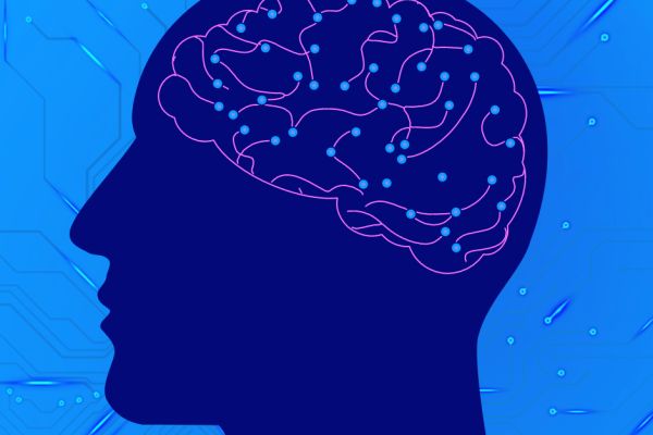 The Anatomy of Insomnia | Psychology Today