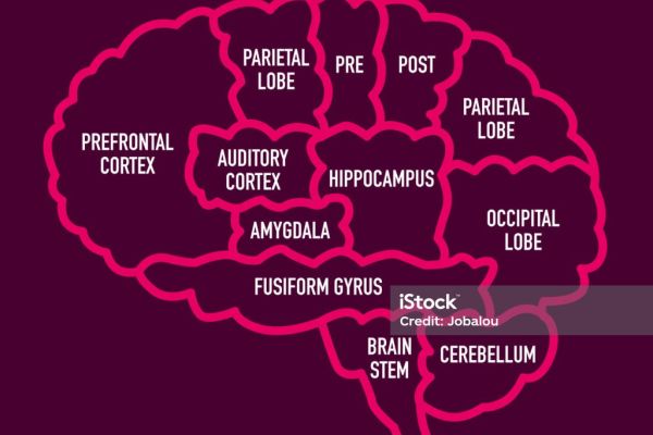 Glenn C. Altschuler Ph.D. | Psychology Today