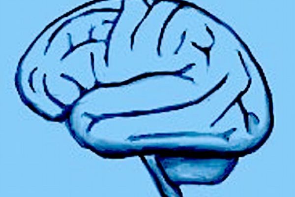 Katherine Ramsland Ph.D. | Psychology Today