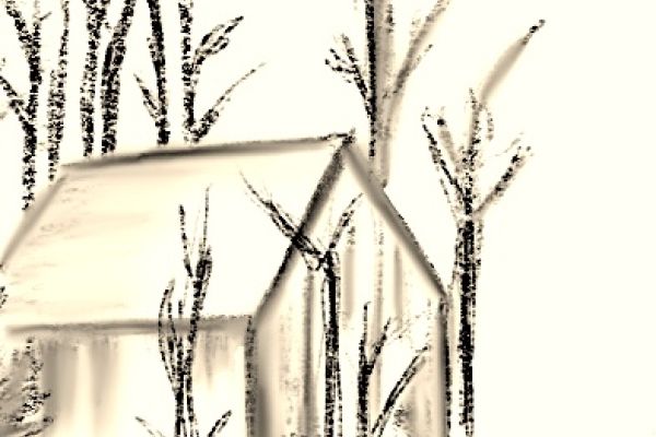 Katherine Ramsland Ph.D. | Psychology Today