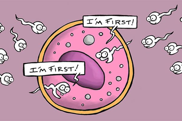 Men Grieve Miscarriage Too | Psychology Today