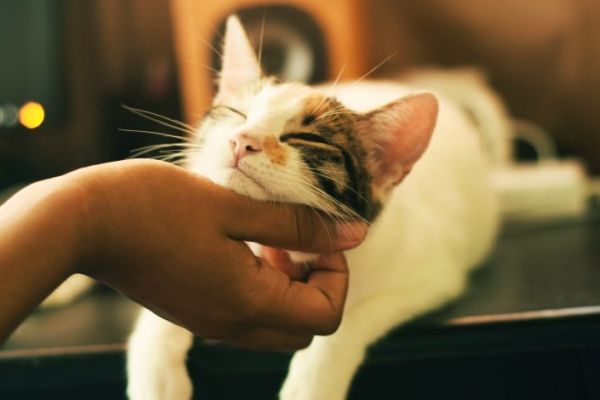 How Sensitivity Is Linked to Brilliance | Psychology Today