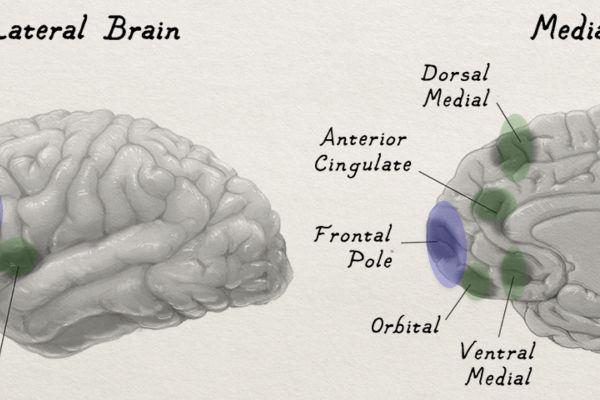 Joseph E LeDoux Ph.D. | Psychology Today