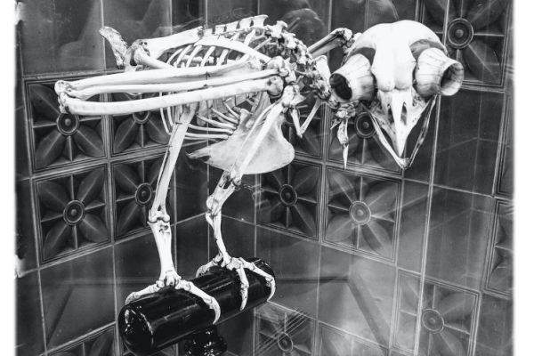 It’s an Old Story, But It's Important, and It's News | Psychology Today