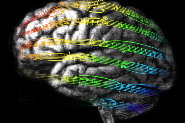 Sex on the Spectrum | Psychology Today