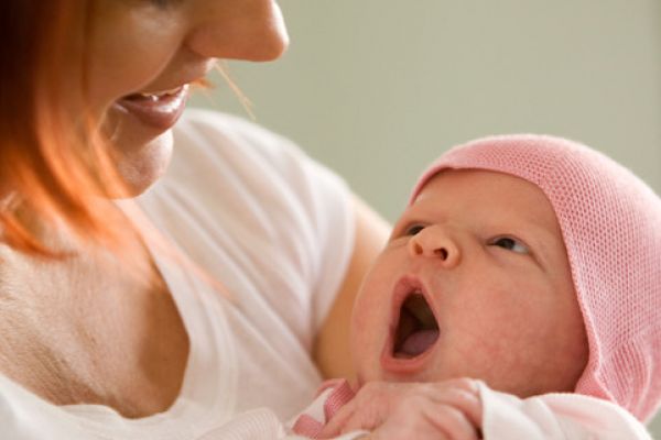 Herbert S. Terrace Ph.D. | Psychology Today