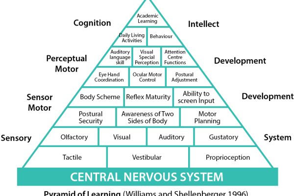 Expanding the "Window of Tolerance" | Psychology Today