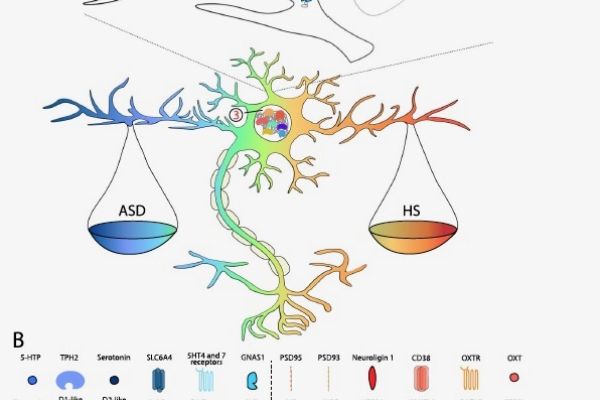 Mind Reading | Psychology Today Australia
