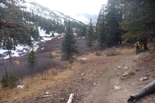 Deborah L. Davis Ph.D. | Psychology Today