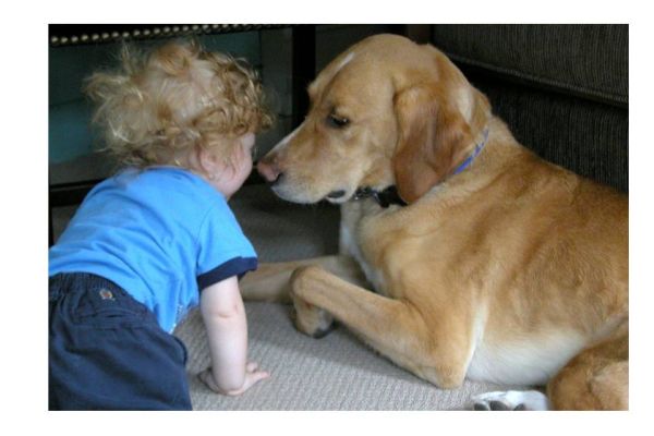 Stanley Coren PhD., DSc, FRSC | Psychology Today