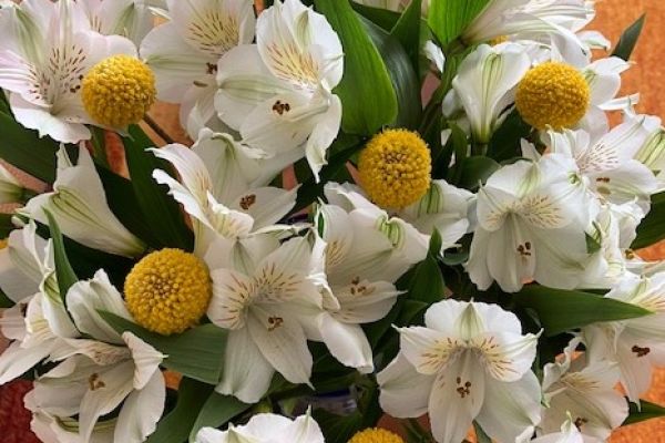 Carrie J Knowles | Psychology Today