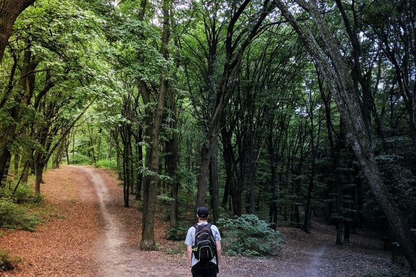 Alice Boyes Ph.D. | Psychology Today