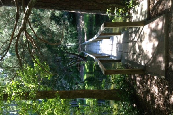 Elizabeth Heaney MA, LPC | Psychology Today