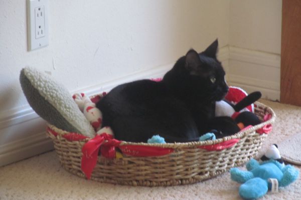 Compartmentalization | Psychology Today