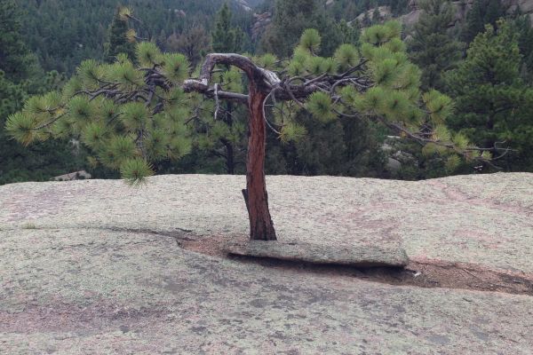 10 Things People with Depression Need to Do Every Day | Psychology Today