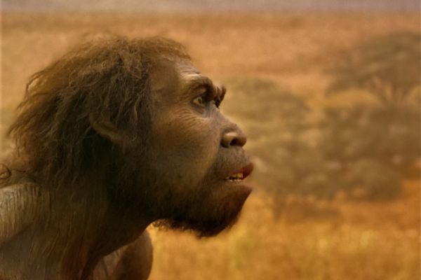 Guy P. Harrison | Psychology Today