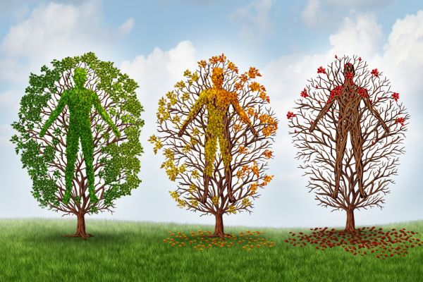 Beauty and Grief: The Artists of Green Burial | Psychology Today