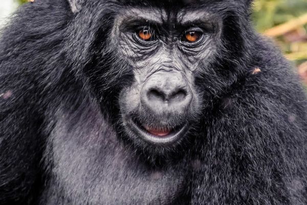 How Self-Initiated Laughter Can Make You Feel Better | Psychology Today