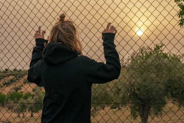 A Day in the Life Without Government | Psychology Today