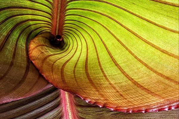 4 Ways to Respond Effectively to Our Intense Emotions | Psychology Today