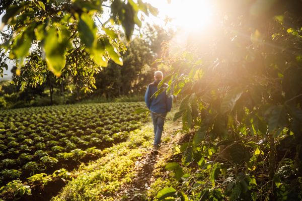 Jessica Del Pozo, Ph.D. | Psychology Today