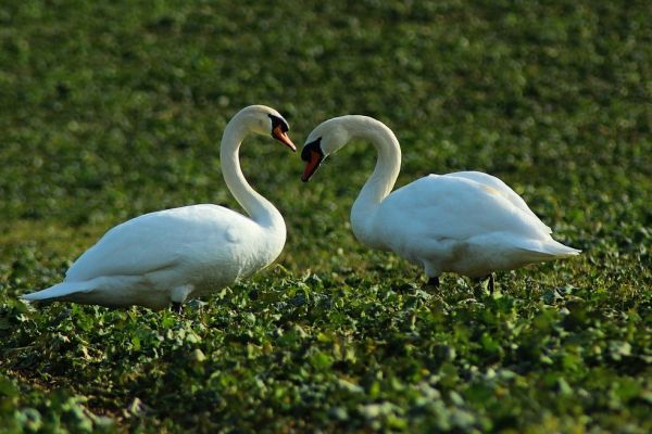 Temma Ehrenfeld | Psychology Today