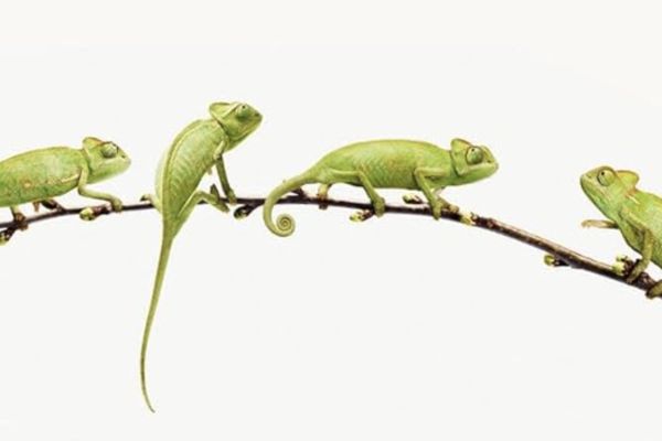 Rami Kaminski, M.D. | Psychology Today New Zealand