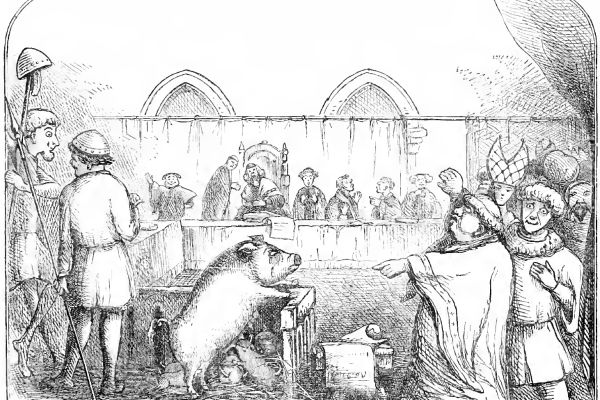 Marc Bekoff Ph.D. | Psychology Today