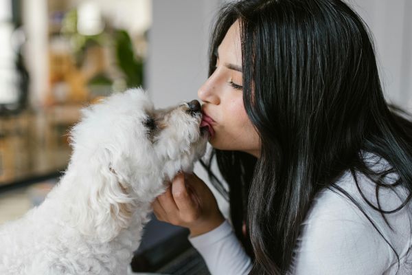 does the moon phase affect dogs