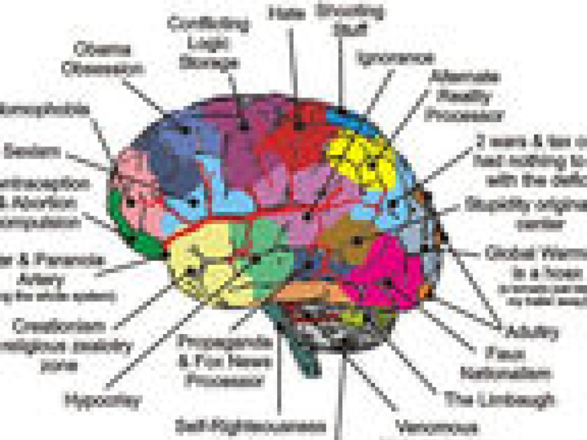 intelligence and conservatism