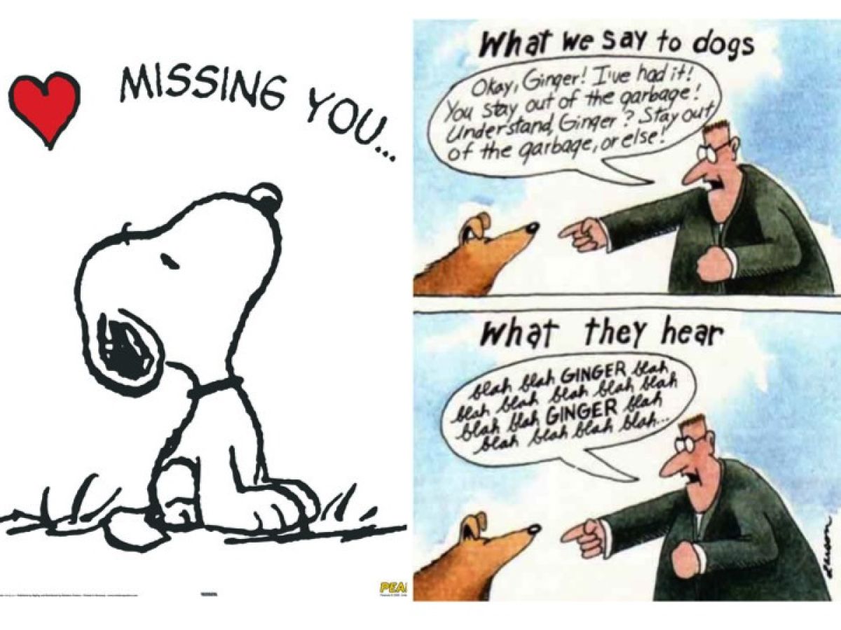 missing missed difference