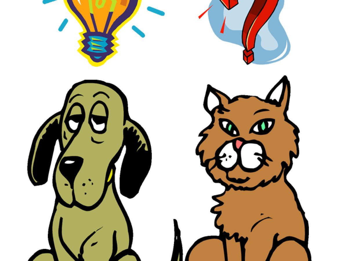 cats v dogs intelligence