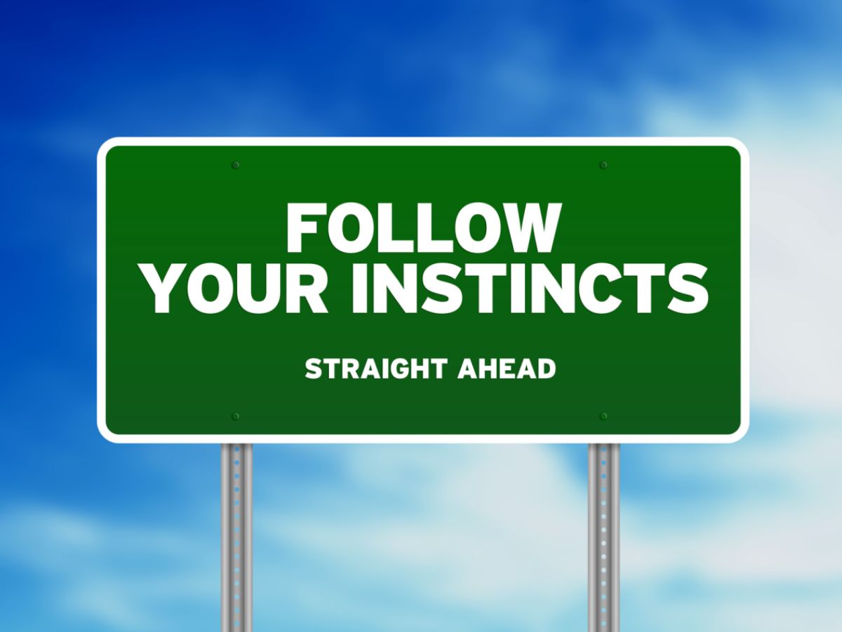 gut instinct examples