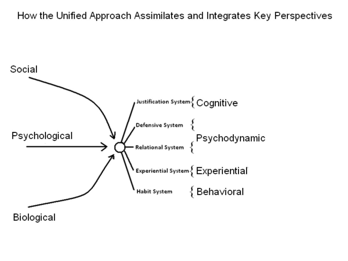 different perspectives cbt