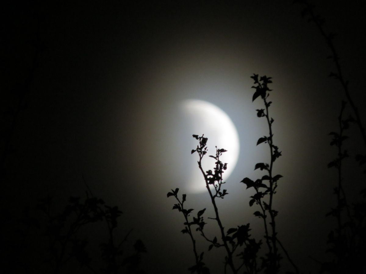 lunar eclipse emotional effect