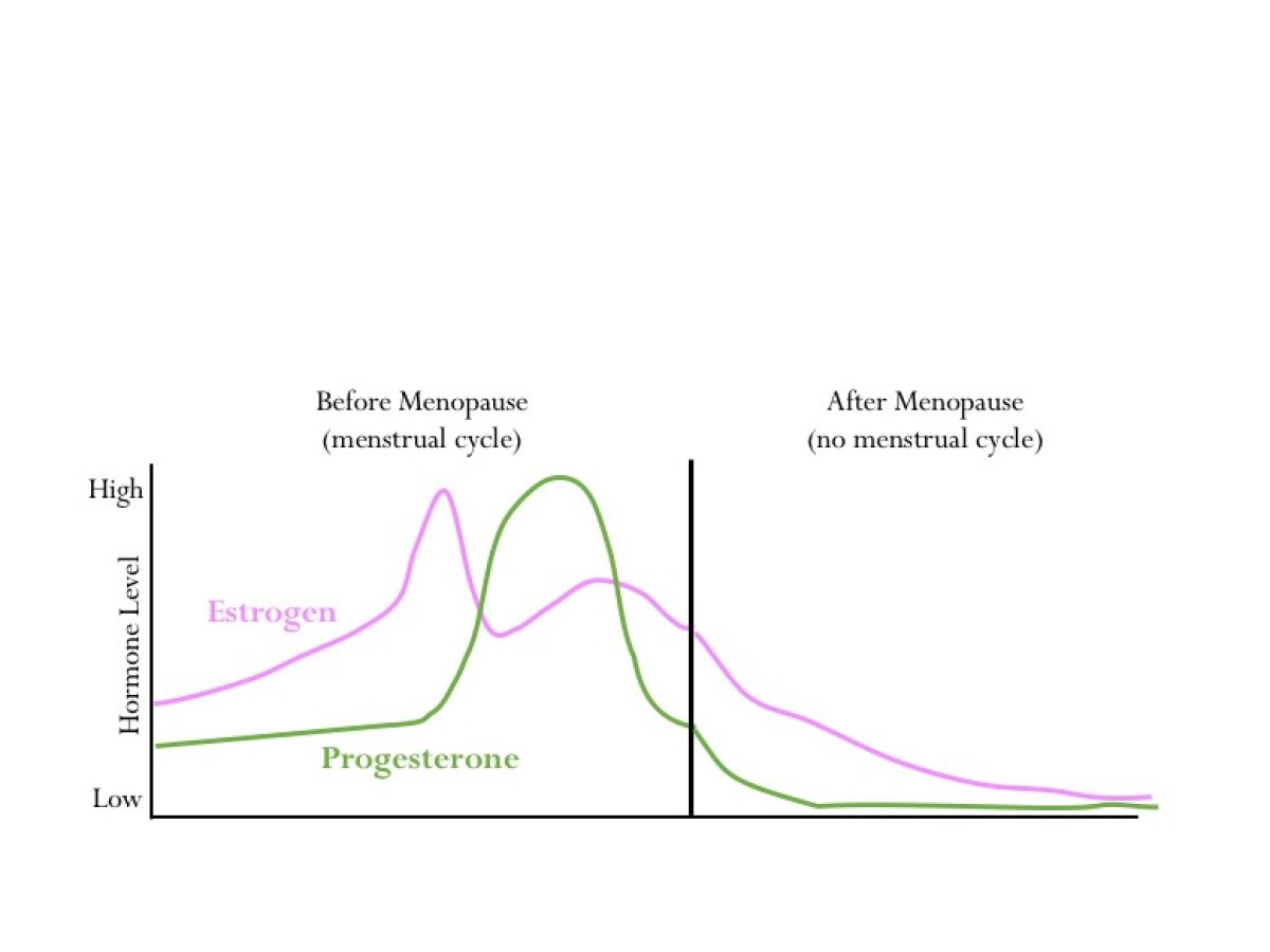 menopause hormone graph