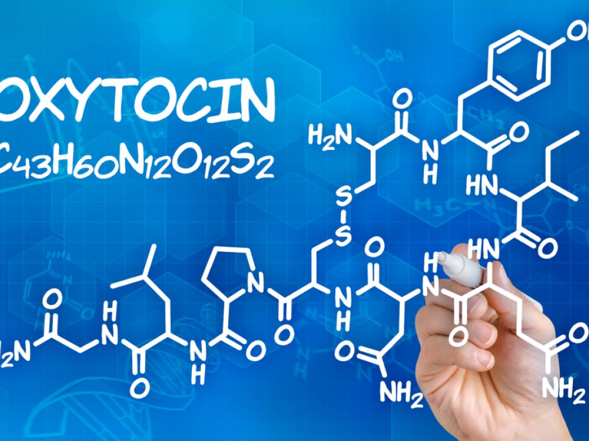 oxytocin hormone function
