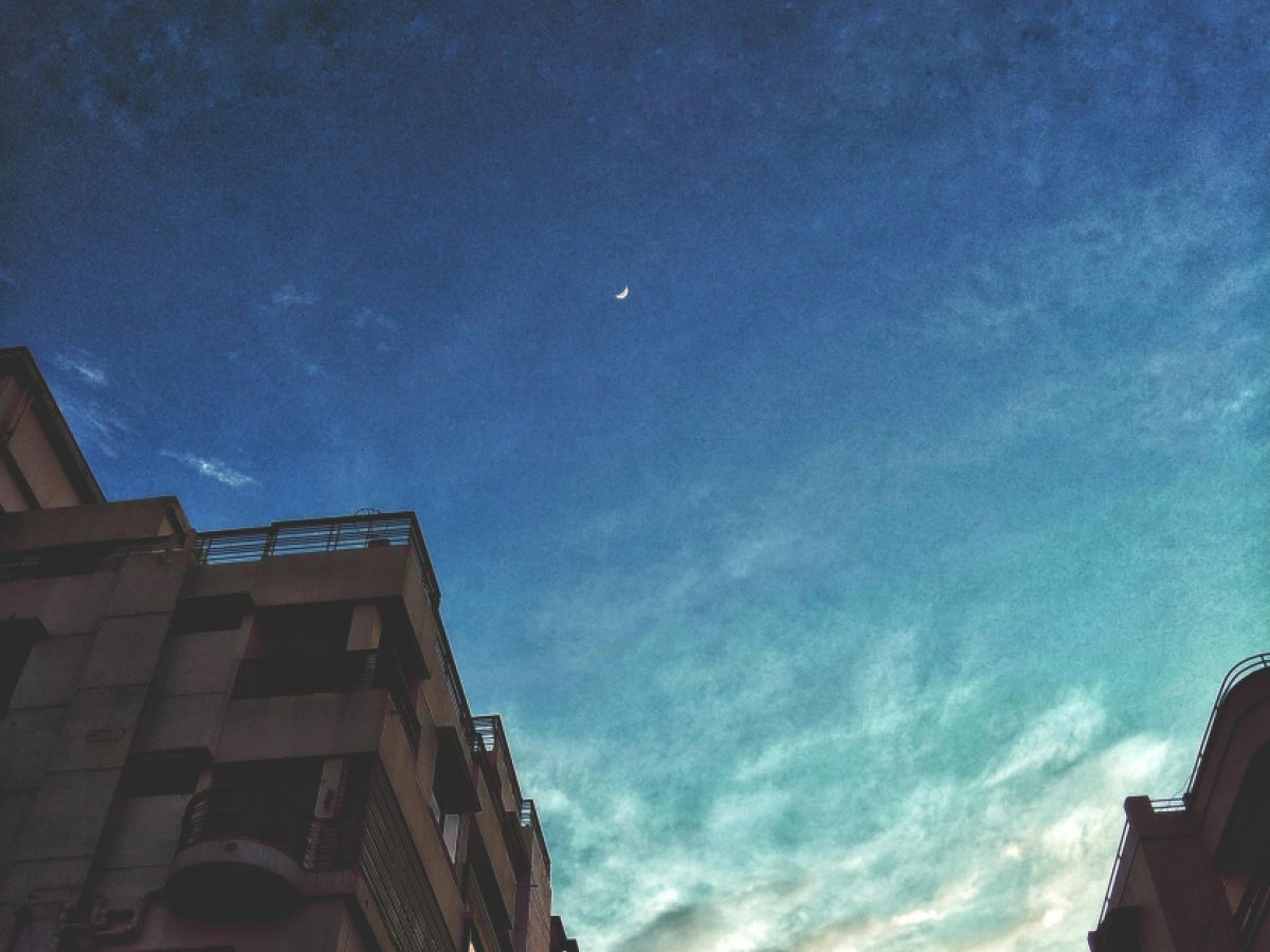 wondersome behaviour