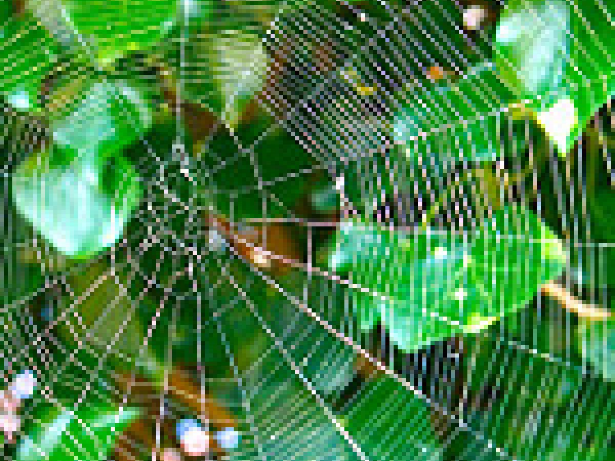 connectedness psychology example