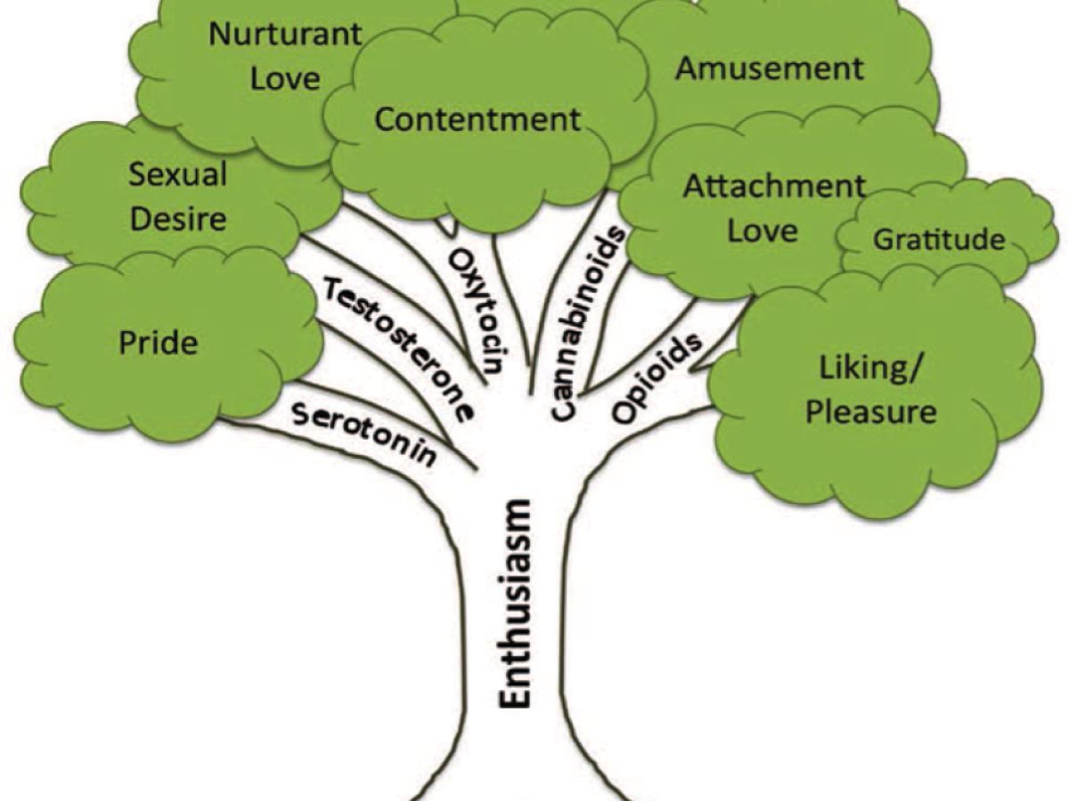 pleasurable emotions