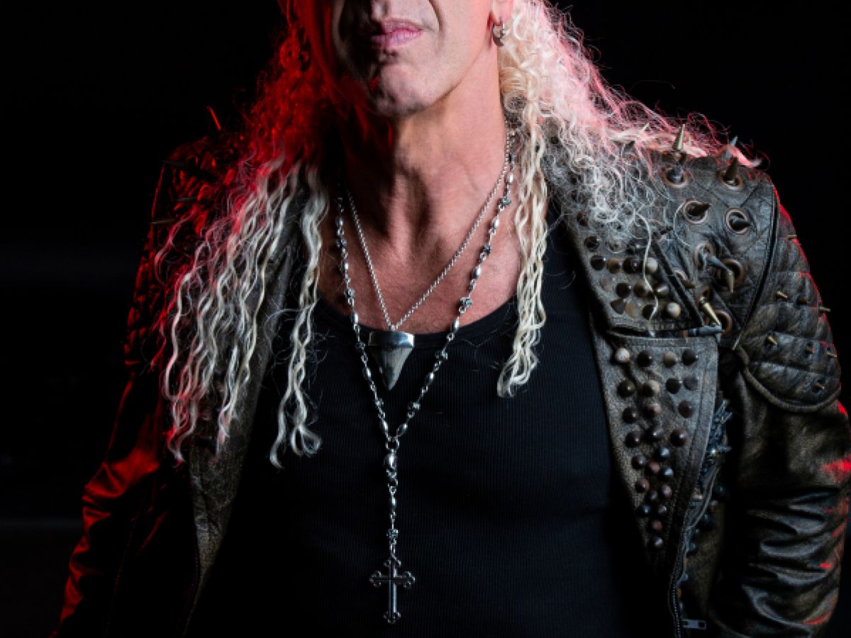 dee snider young
