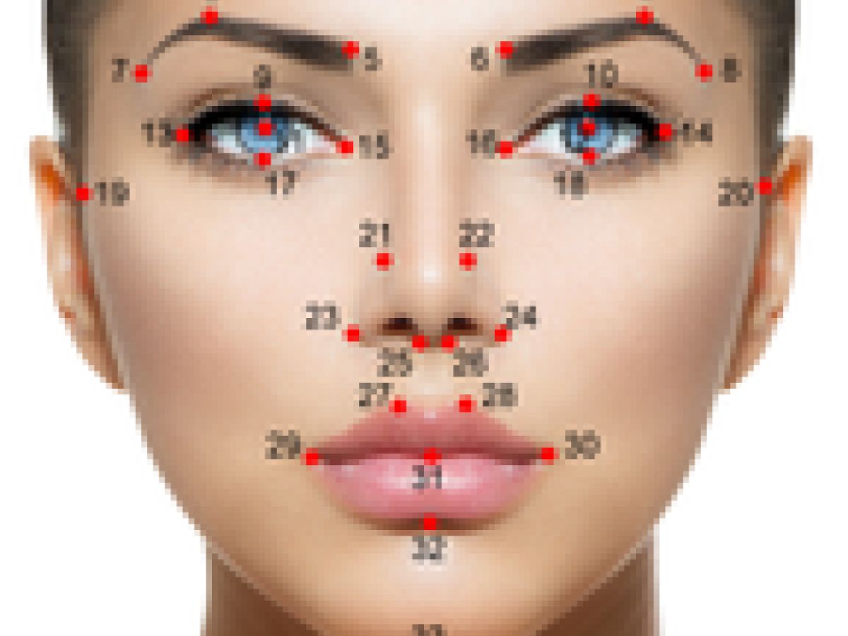 fibonacci sequence in human face