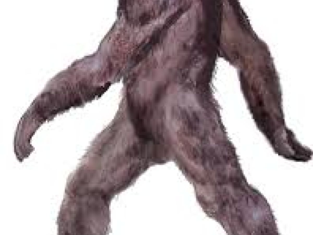 bigfoot background information