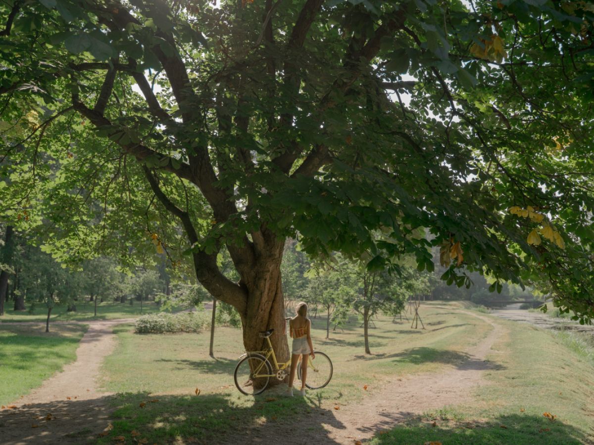 what does it mean to have conflicted feelings