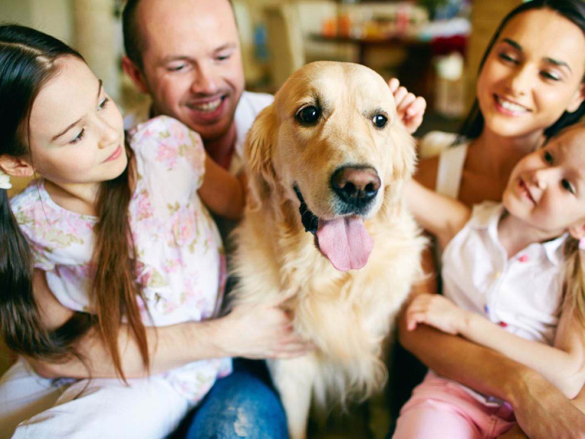 Are Dogs Truly and Legally Members of the Family Psychology Today United Kingdom