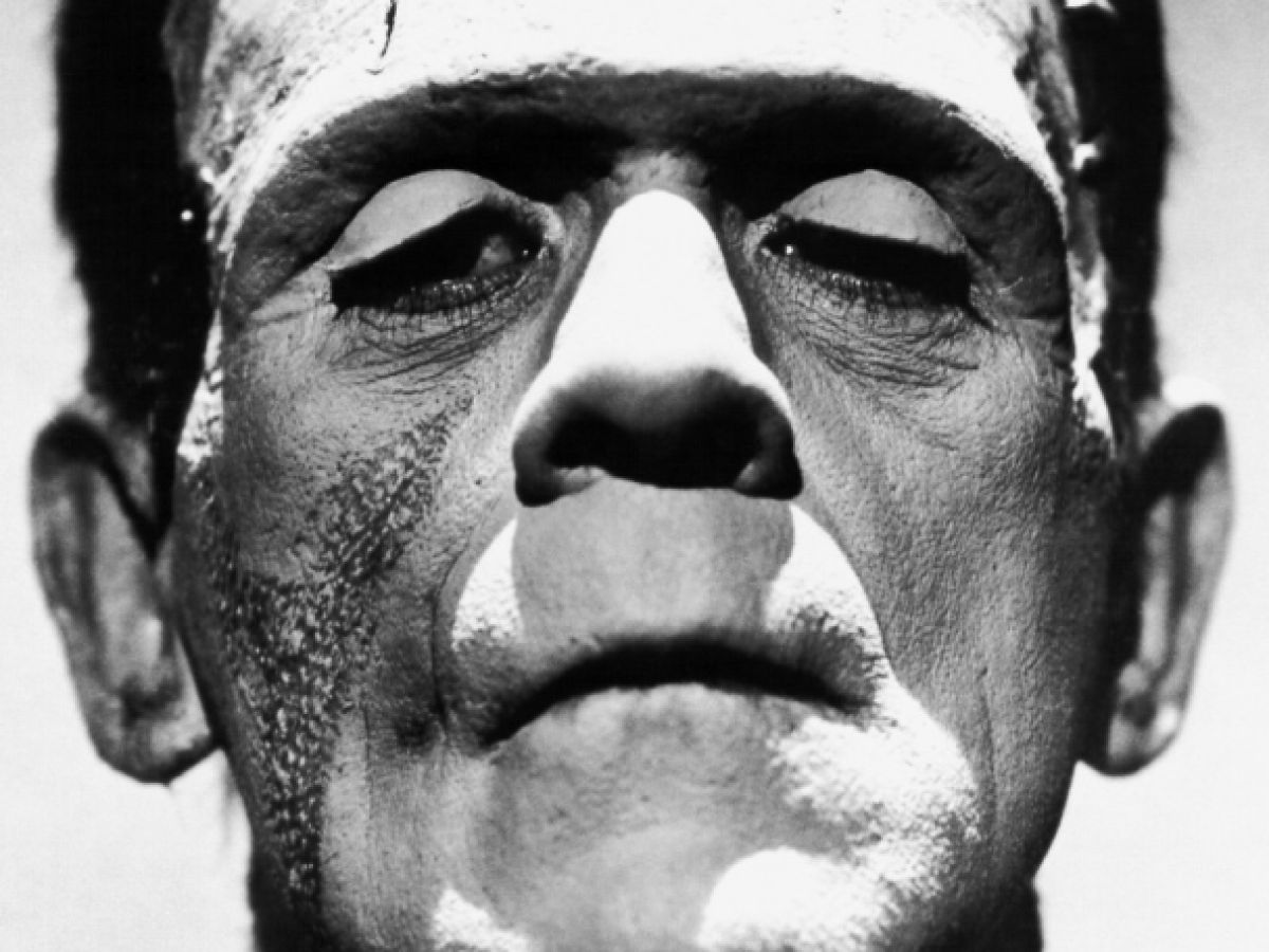 frankenstein existentialism