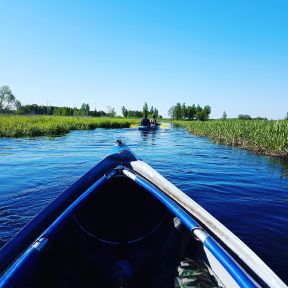 Ilene Berns-Zare PsyD | Psychology Today