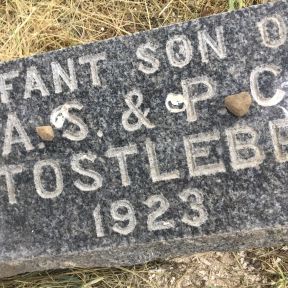 Deborah L. Davis Ph.D. | Psychology Today